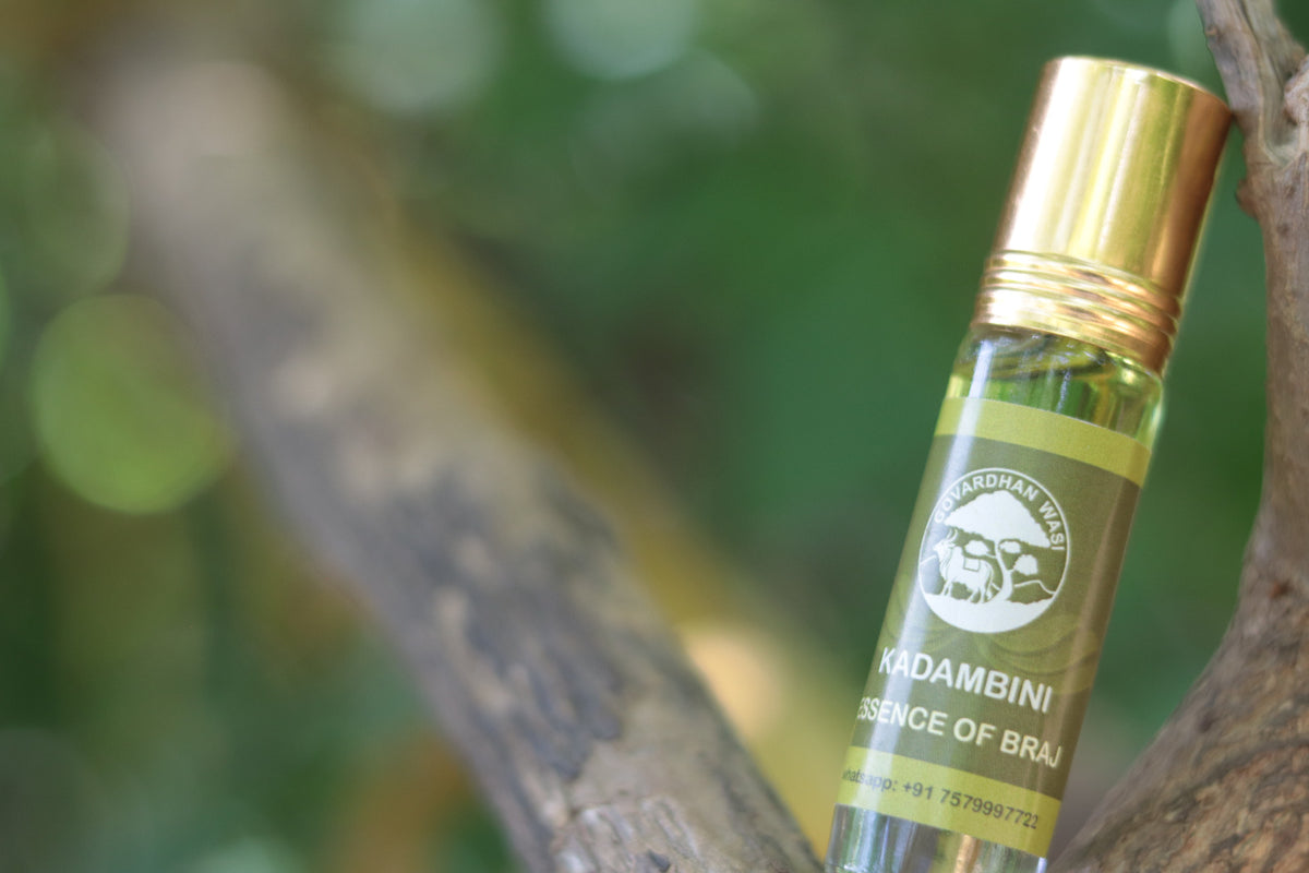 Kadambani – Govardhan Wasi